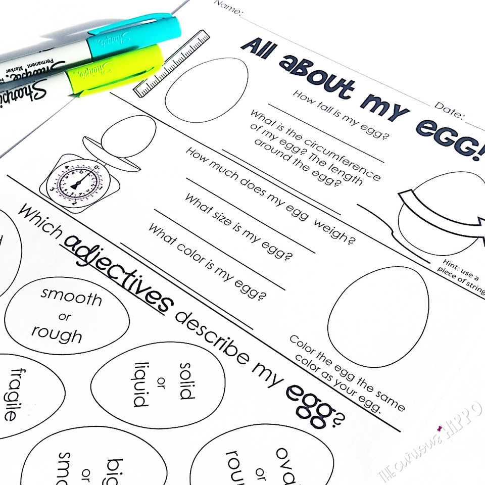 Egg Experiments | Made By Teachers