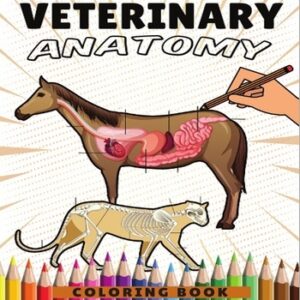 Veterinary Anatomy Coloring Book / Animal Dog Anatomy And Physiology ...