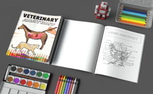 Veterinary Anatomy Coloring Book / Animal Dog Anatomy And Physiology ...