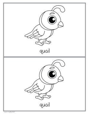 Alphabet Letter Q Emergent Readers Set | Made By Teachers