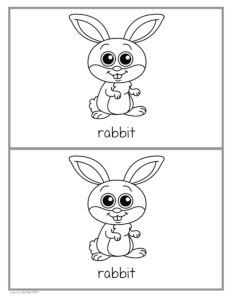 Alphabet Letter R Emergent Readers Set | Made By Teachers