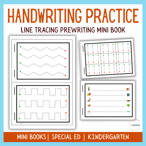 Fine motor activity line tracing mini books pdf | Made By Teachers