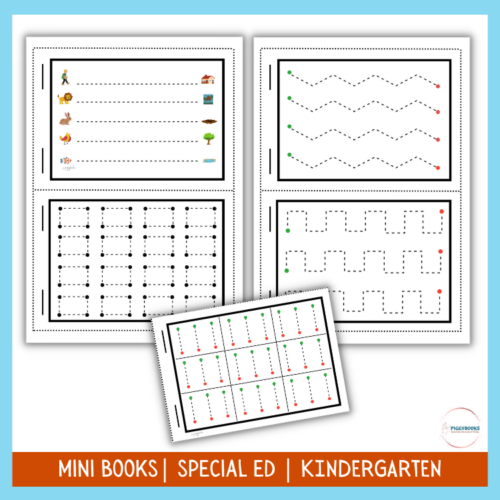 Fine motor activity line tracing mini books pdf | Made By Teachers