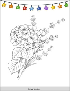 Flowers coloring pages for kids . | Made By Teachers