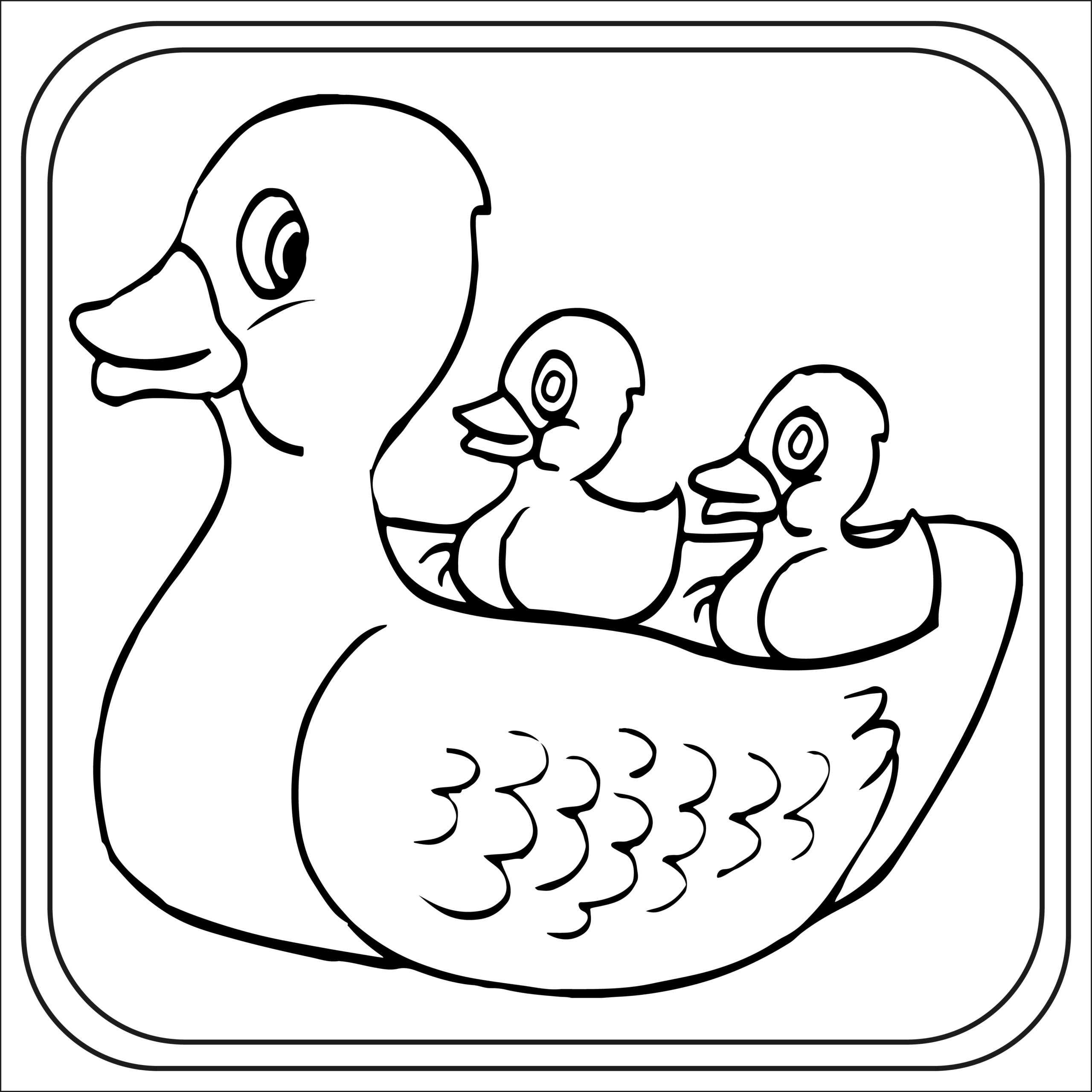 Duck Coloring Pages Preschool | Kindergarten | First Grade | Made By ...