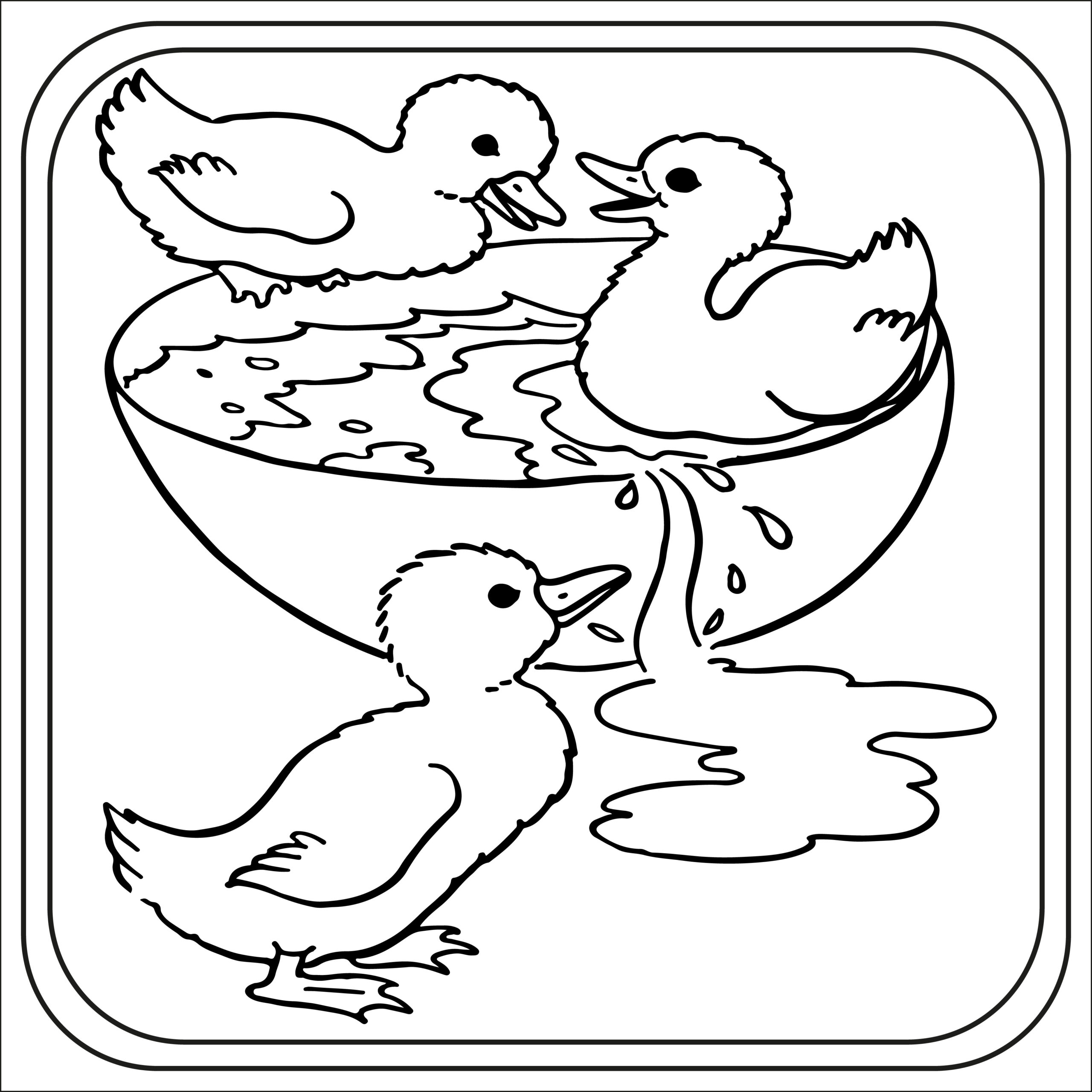 Duck Coloring Pages Preschool | Kindergarten | First Grade | Made By ...