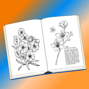 The Wonder of Flowers: A Coloring Adventure for Young Minds | Made By ...