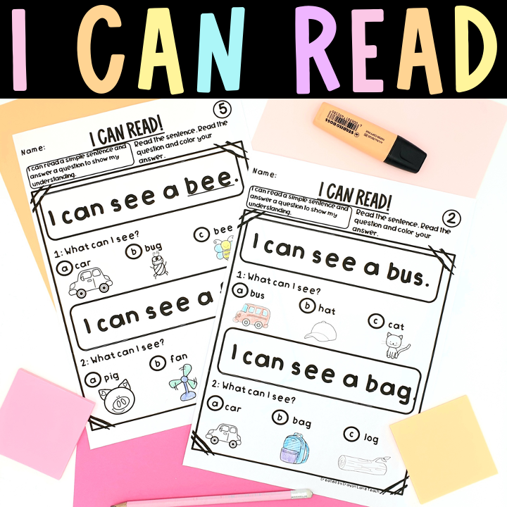 Reading Comprehension Guided Reading Simple Sentences & Questions ...