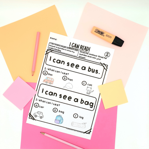Reading Comprehension Guided Reading Simple Sentences & Questions ...