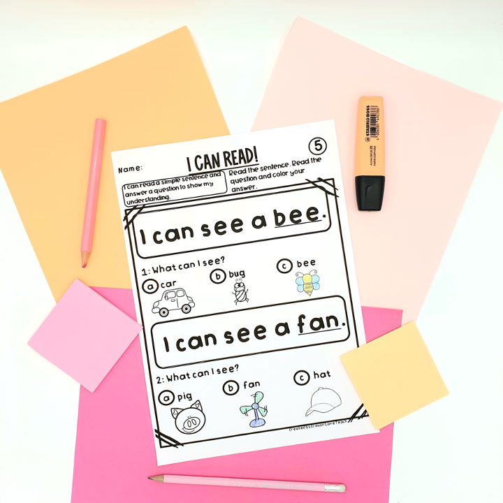 Reading Comprehension Guided Reading Simple Sentences & Questions ...