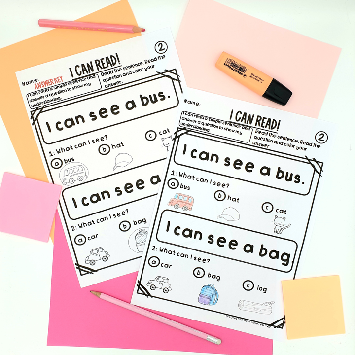 Reading Comprehension Guided Reading Simple Sentences & Questions ...