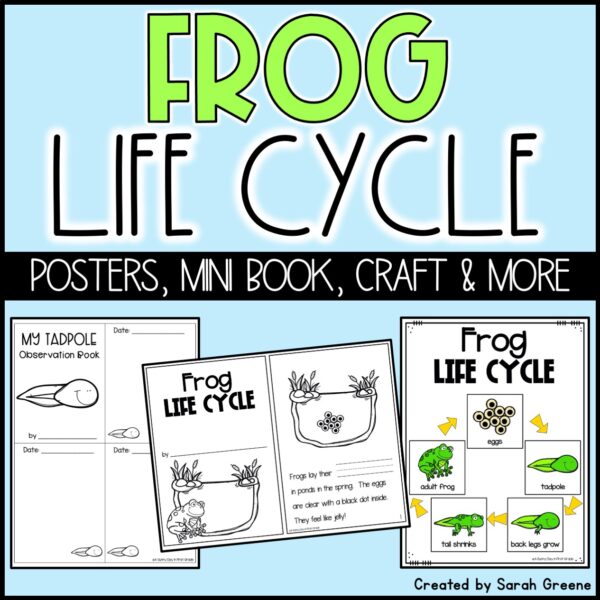 Life Cycle of a Frog - Made By Teachers