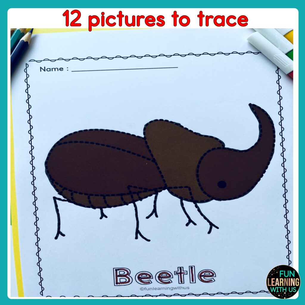 Insects Picture Tracing & Coloring Fine Motor Worksheets | Made By Teachers
