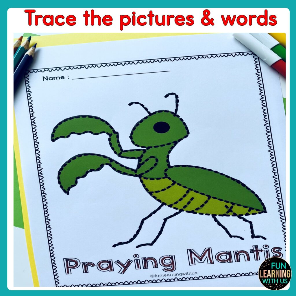 Insects Picture Tracing & Coloring Fine Motor Worksheets | Made By Teachers