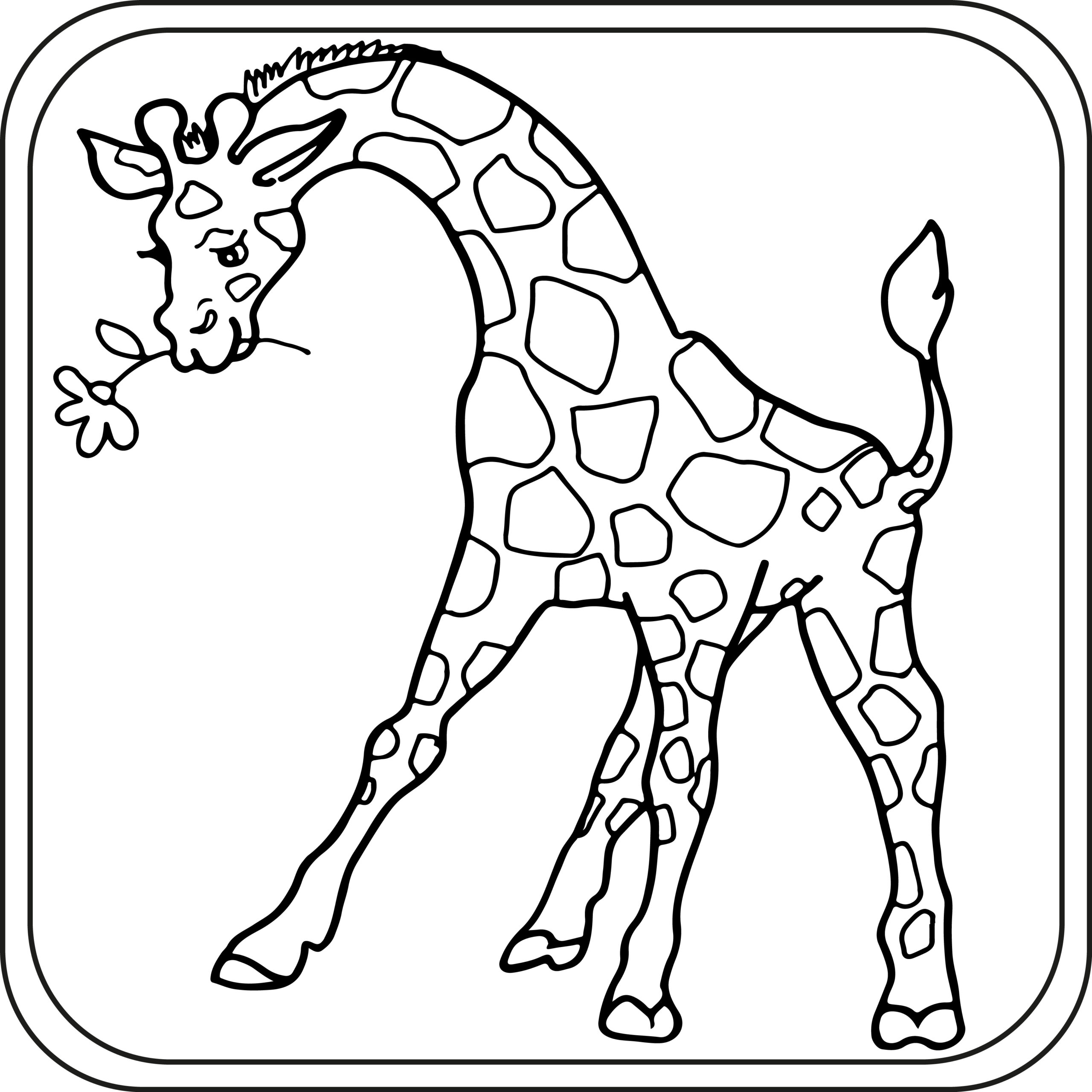 Giraffe Coloring Pages Preschool | Kindergarten | First Grade | Made By ...