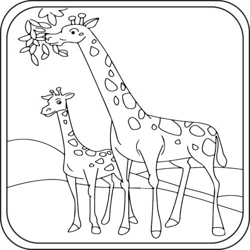Giraffe Coloring Pages Preschool Kindergarten First Grade Made By