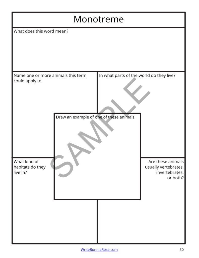 Animal Vocabulary Notebooking Journal | Made By Teachers