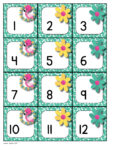 Flamingo Tropical Calendar Set | Made By Teachers