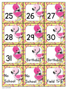 Flamingo Tropical Calendar Set | Made By Teachers