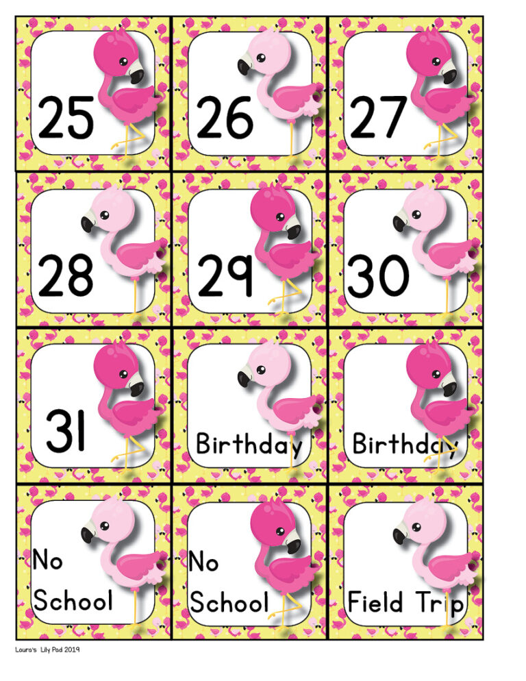 Flamingo Tropical Calendar Set | Made By Teachers