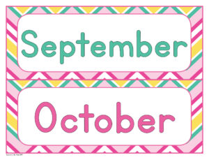 Flamingo Tropical Calendar Set | Made By Teachers