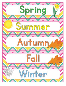 Flamingo Tropical Calendar Set | Made By Teachers