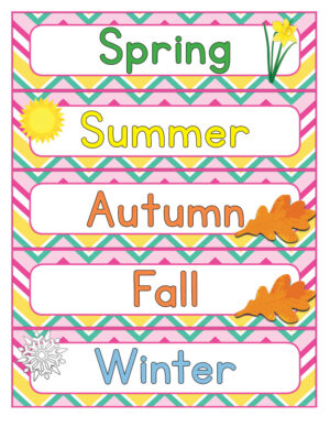 Flamingo Tropical Calendar Set | Made By Teachers