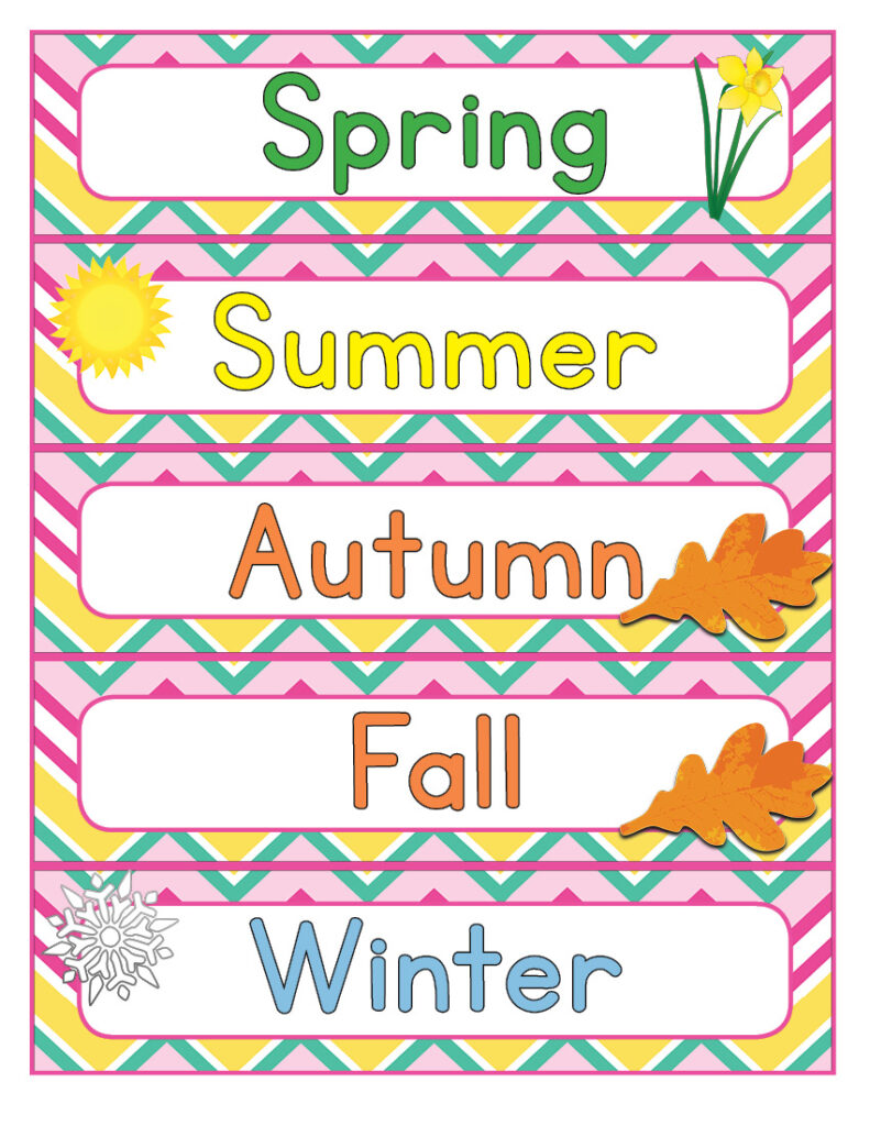 Flamingo Tropical Calendar Set | Made By Teachers