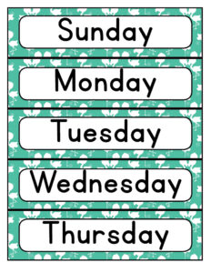 Flamingo Tropical Calendar Set | Made By Teachers