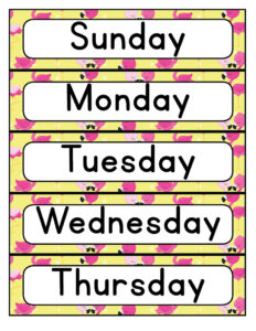 Flamingo Tropical Calendar Set | Made By Teachers