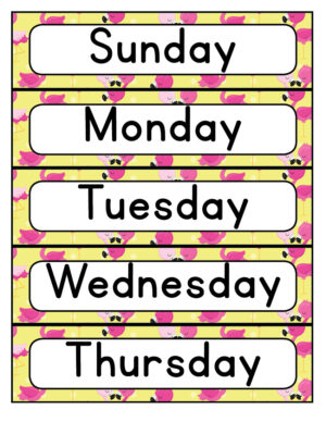 Flamingo Tropical Calendar Set | Made By Teachers
