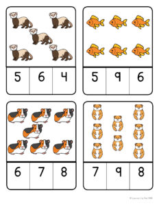 Pets Math and Literacy Bundle | Made By Teachers