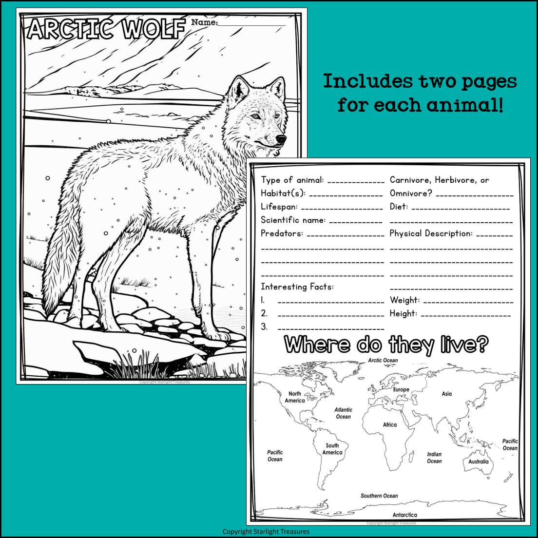 Arctic Animals Research Posters, Coloring Pages - Animal Research ...