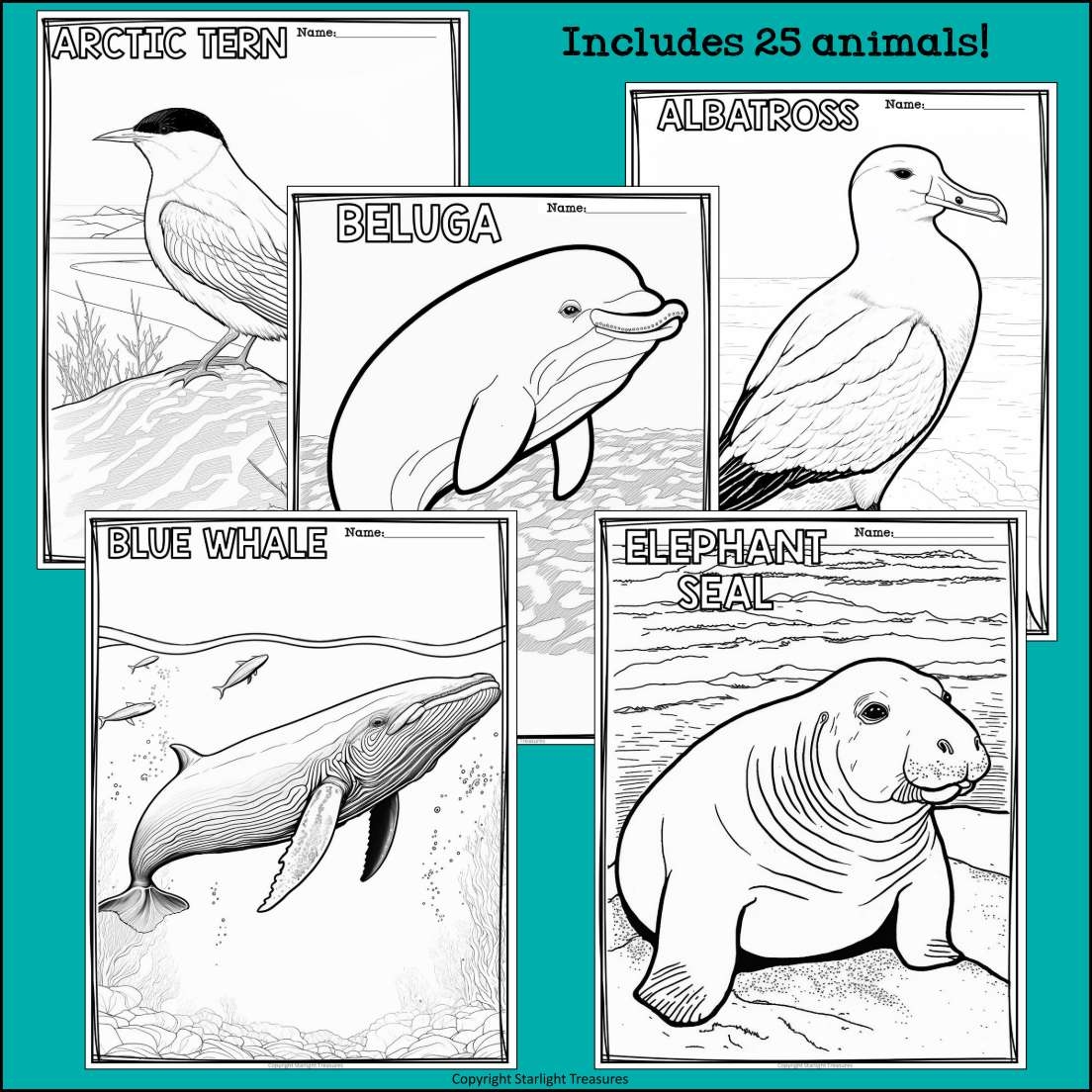 Arctic Animals Research Posters, Coloring Pages - Animal Research ...