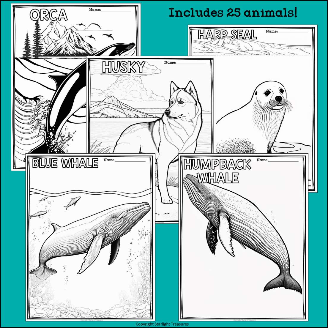 Arctic Animals Research Posters, Coloring Pages - Animal Research ...
