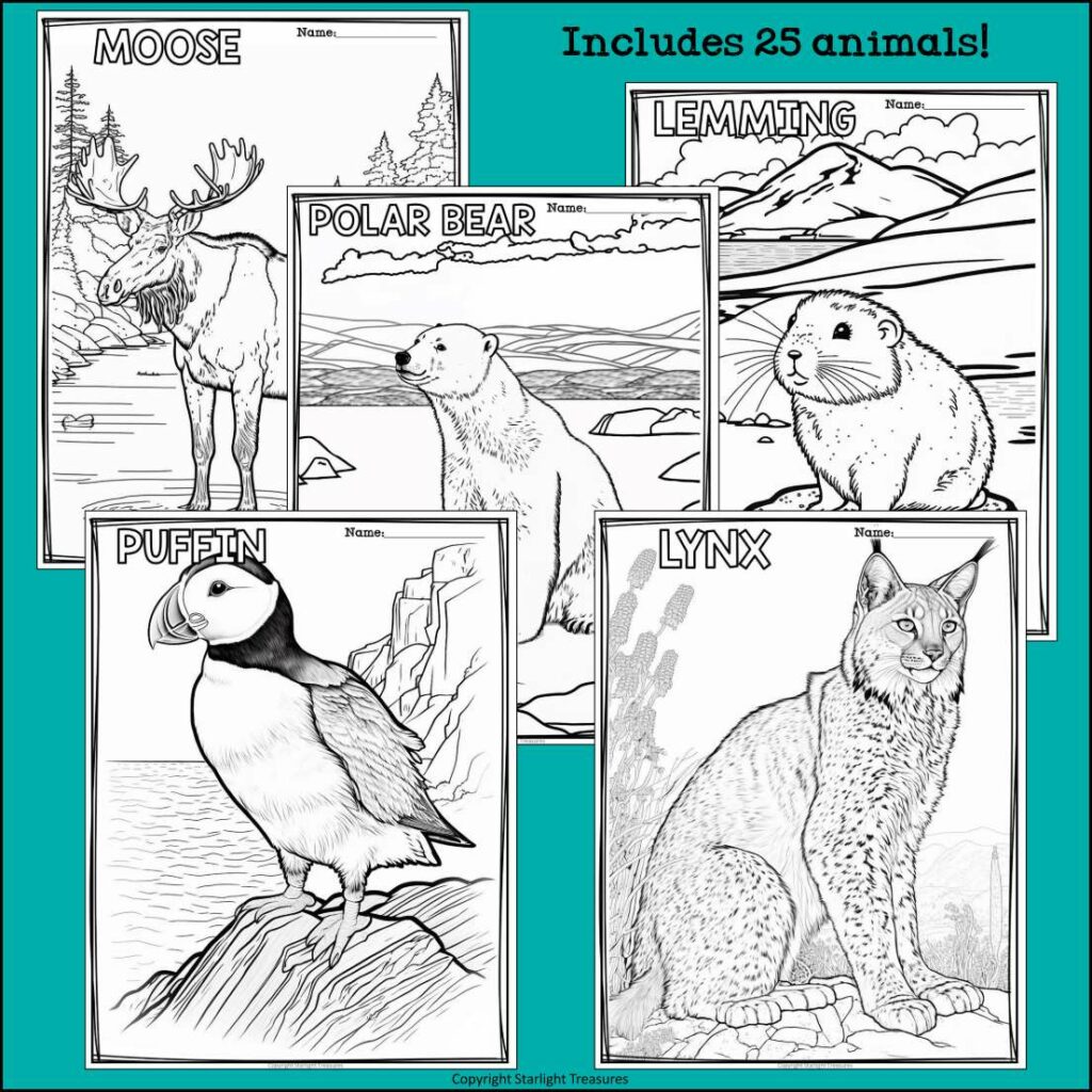 Arctic Animals Research Posters, Coloring Pages - Animal Research ...