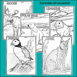 Arctic Animals Research Posters, Coloring Pages - Animal Research ...