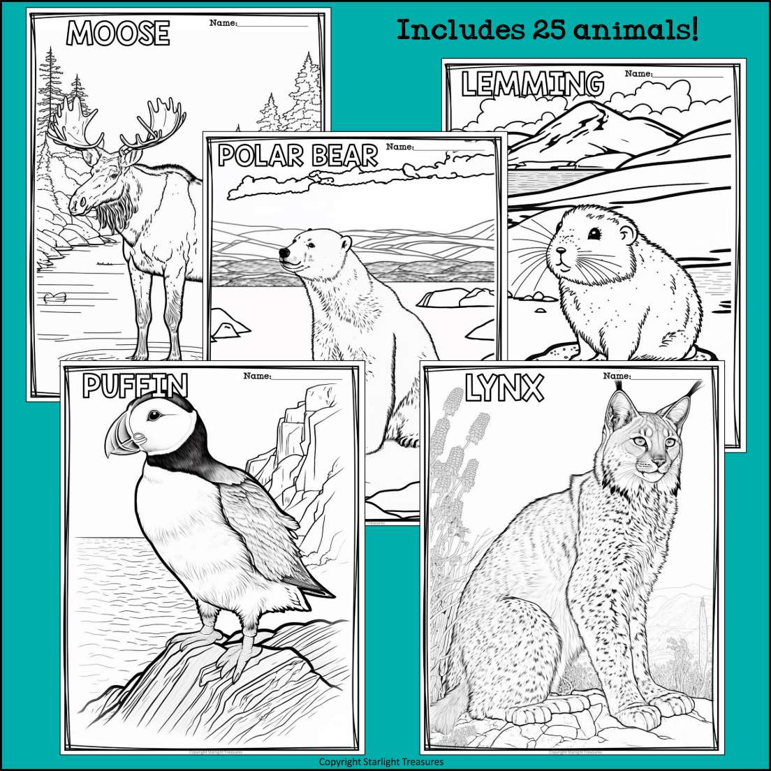 Arctic Animals Research Posters, Coloring Pages - Animal Research ...