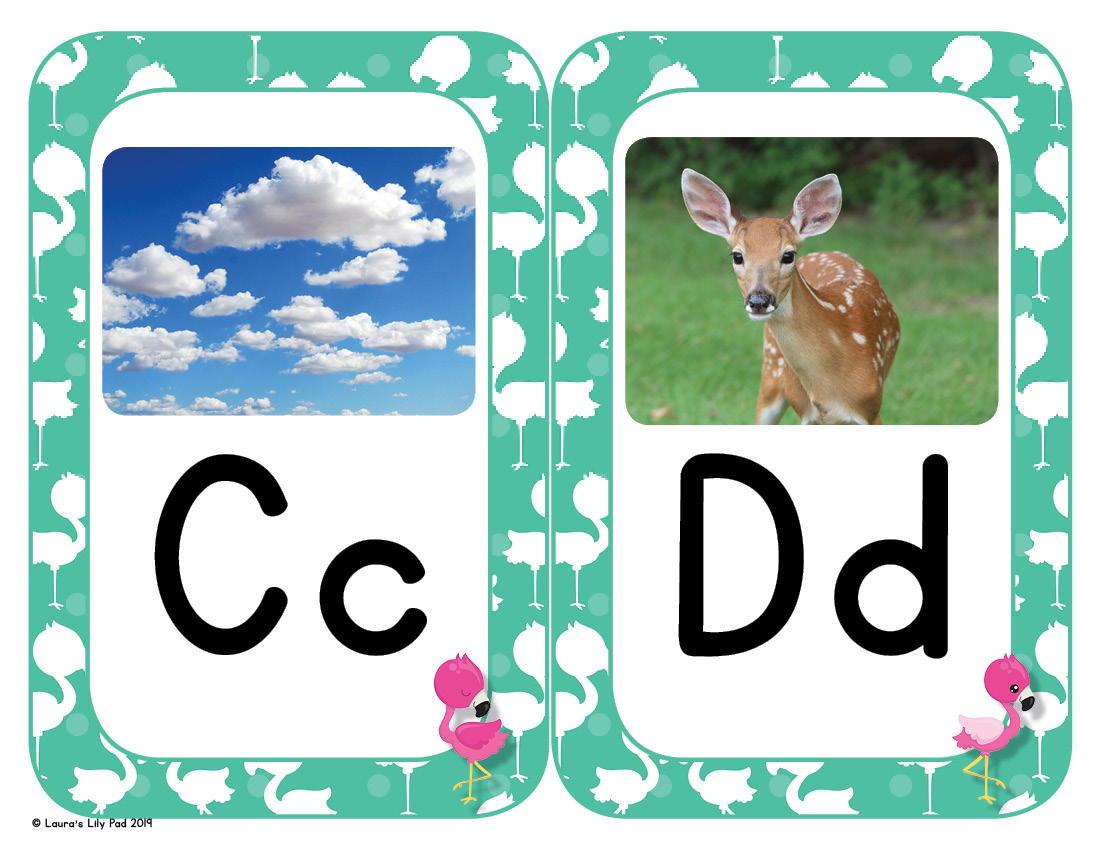 Flamingo Alphabet Signs | Made By Teachers