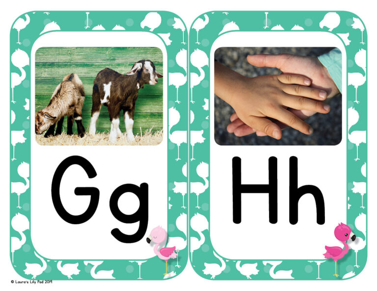 Flamingo Alphabet Signs | Made By Teachers