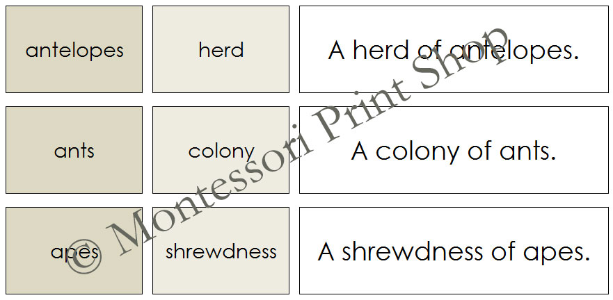 Animals and Their Groups Matching Cards (color-coded) | Made By Teachers