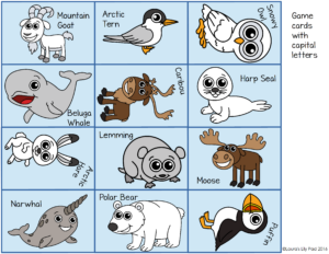 Polar Path Game | Made By Teachers