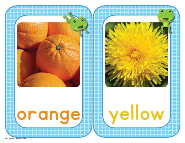 Frogs Theme Colors and Shapes Signs | Made By Teachers