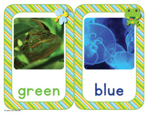 Frogs Theme Colors and Shapes Signs | Made By Teachers