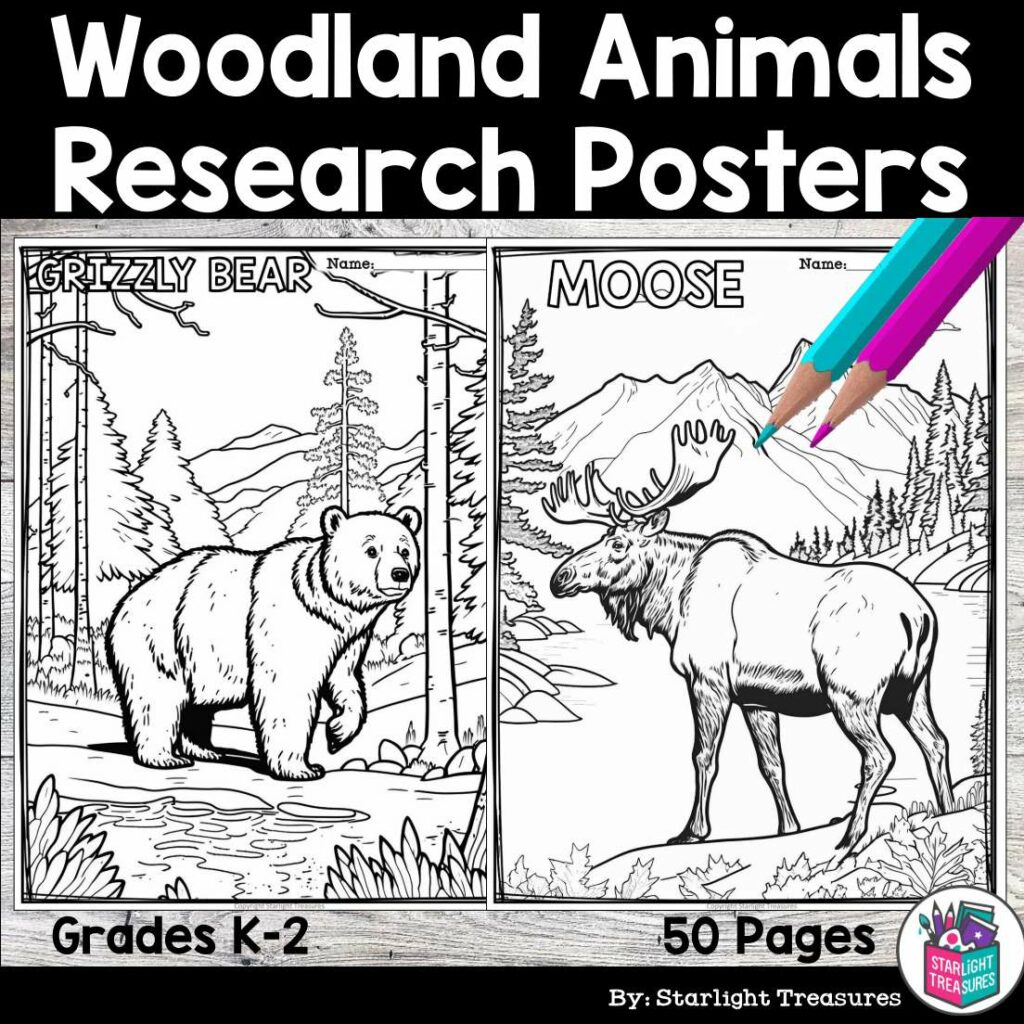 Woodland Animals Research Posters, Coloring Pages - Animal Research ...