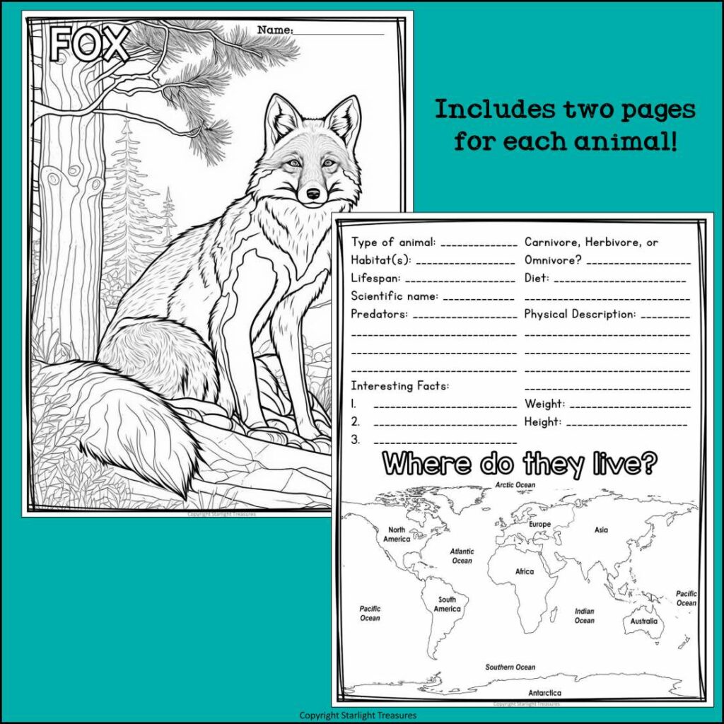 Woodland Animals Research Posters, Coloring Pages - Animal Research ...