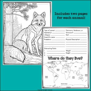 Woodland Animals Research Posters, Coloring Pages - Animal Research ...