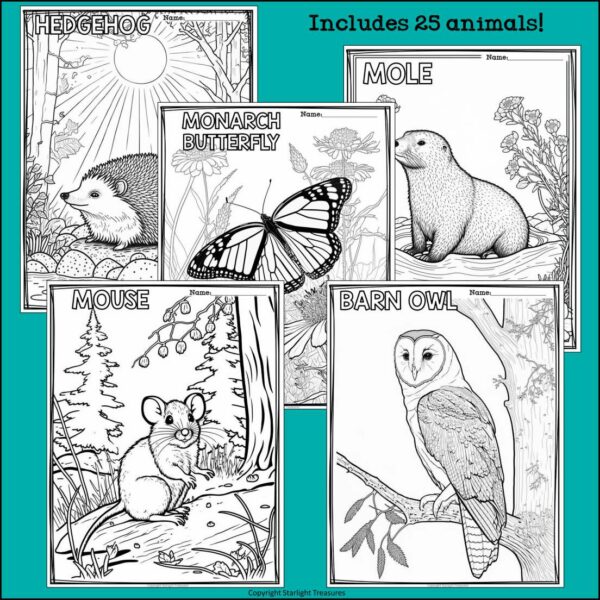 Woodland Animals Research Posters, Coloring Pages - Animal Research ...