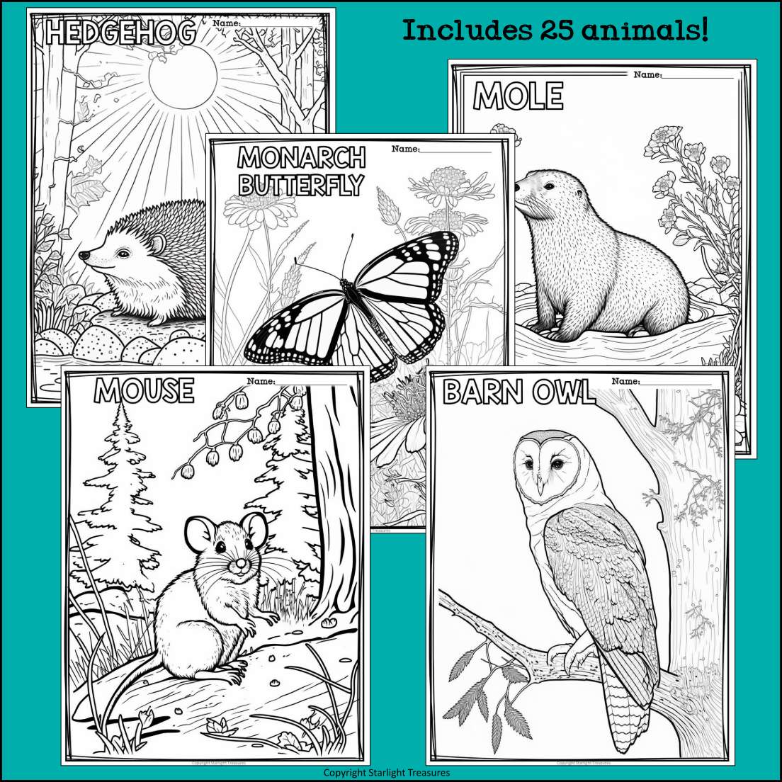 Woodland Animals Research Posters, Coloring Pages - Animal Research ...