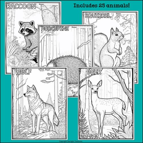 Woodland Animals Research Posters, Coloring Pages - Animal Research ...